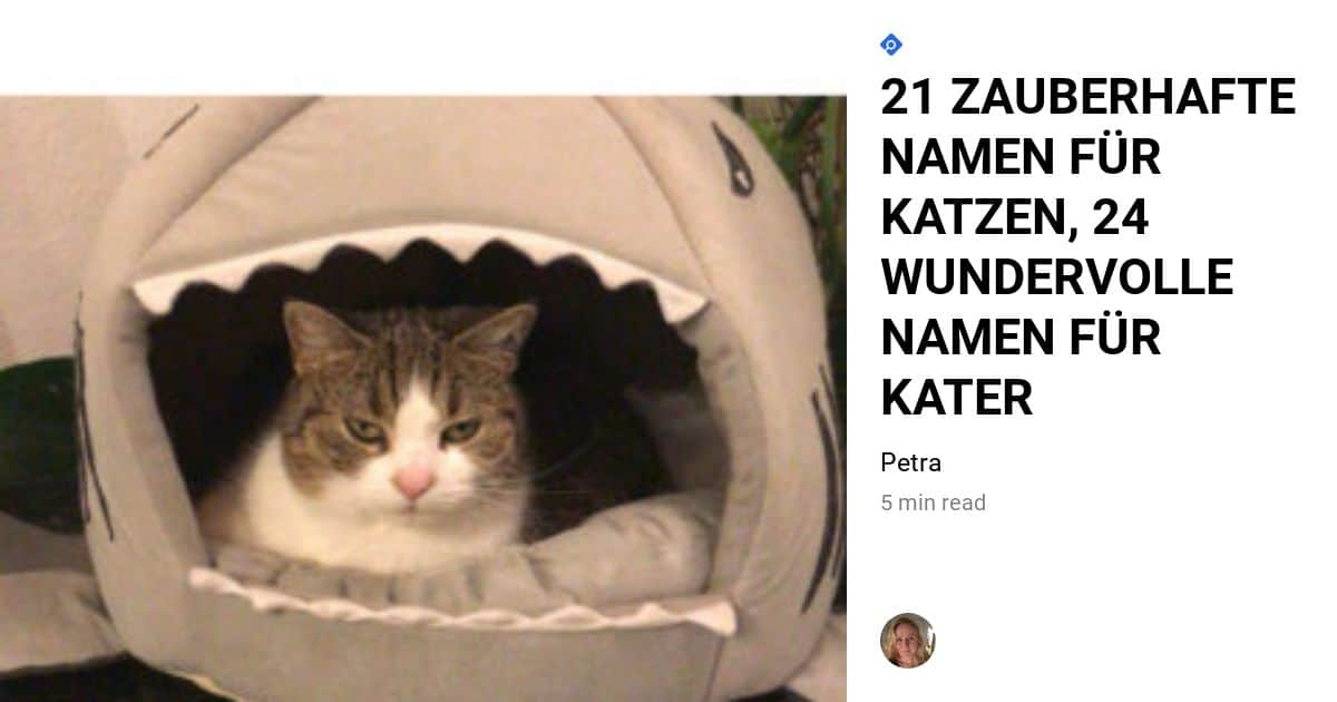Spannende Coole Namen Fur Kater Grau Ebenbild